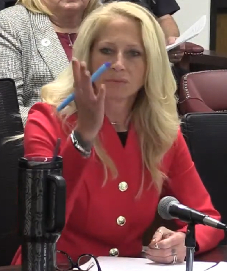 Mayor hears feedback on city plan | News, Sports, Jobs - Observer Today
